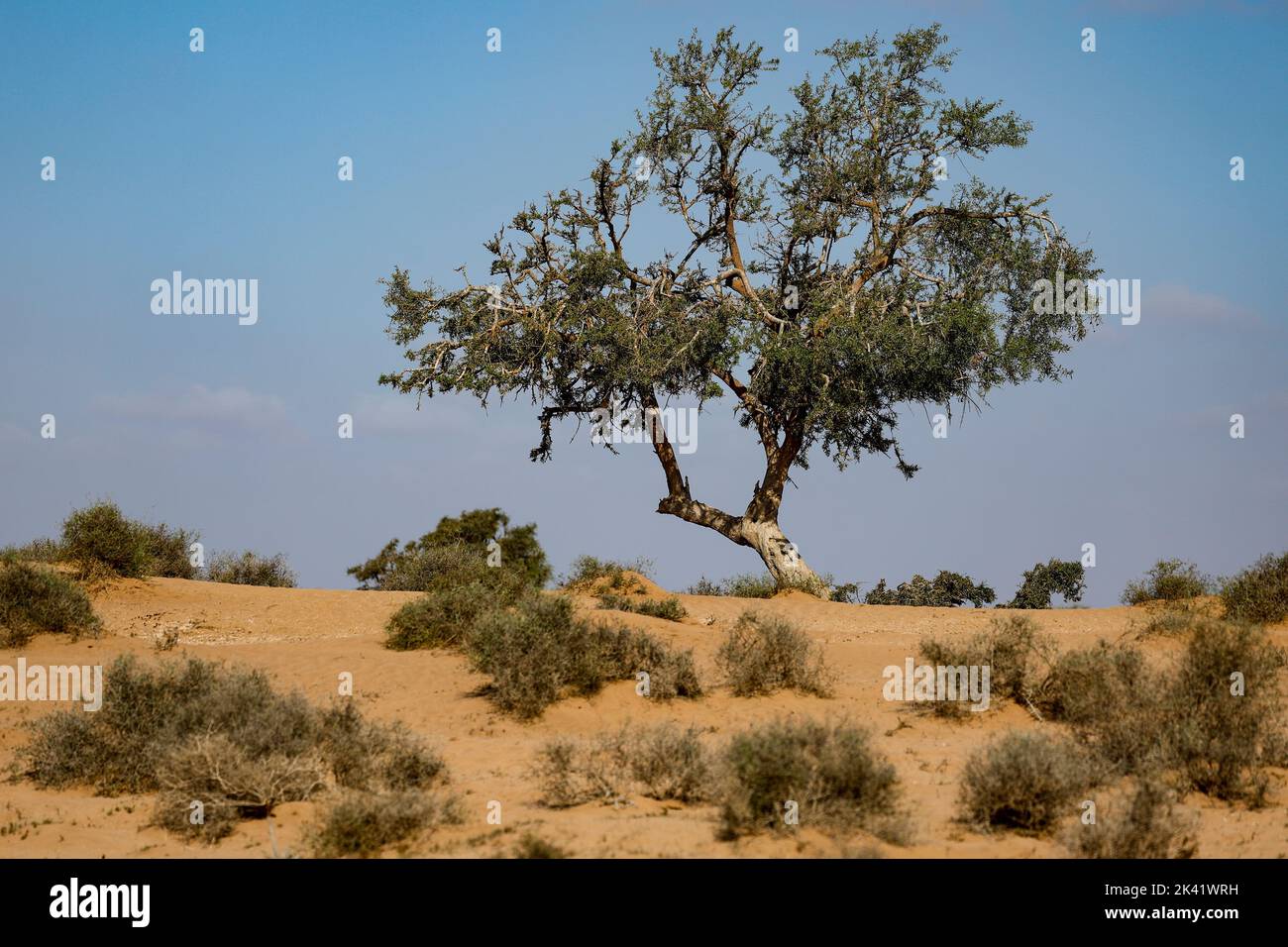 Biougra, Morocco - 29/09/2022, Landscape during the Private tests of ...