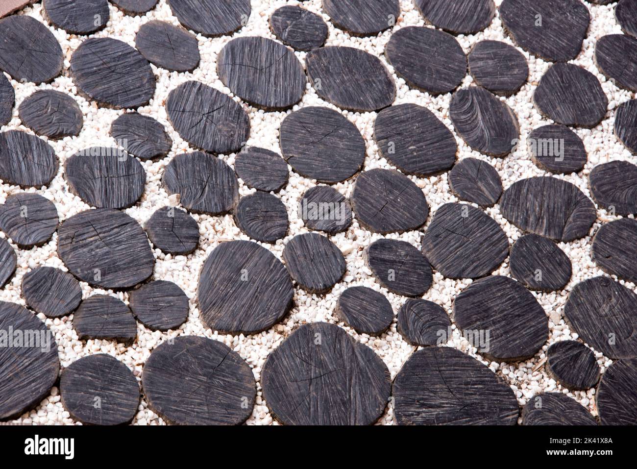 Paving made from sliced logs and white stone Stock Photo - Alamy