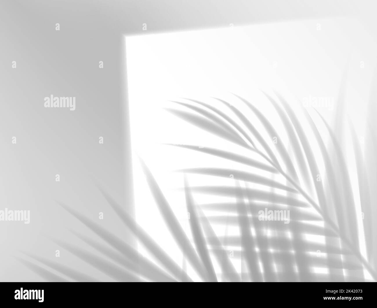 Palm leaves shadow background overlay, plant leaf shade on wall ... Palm leaves shadow background overlay, plant leaf shade on wall ...