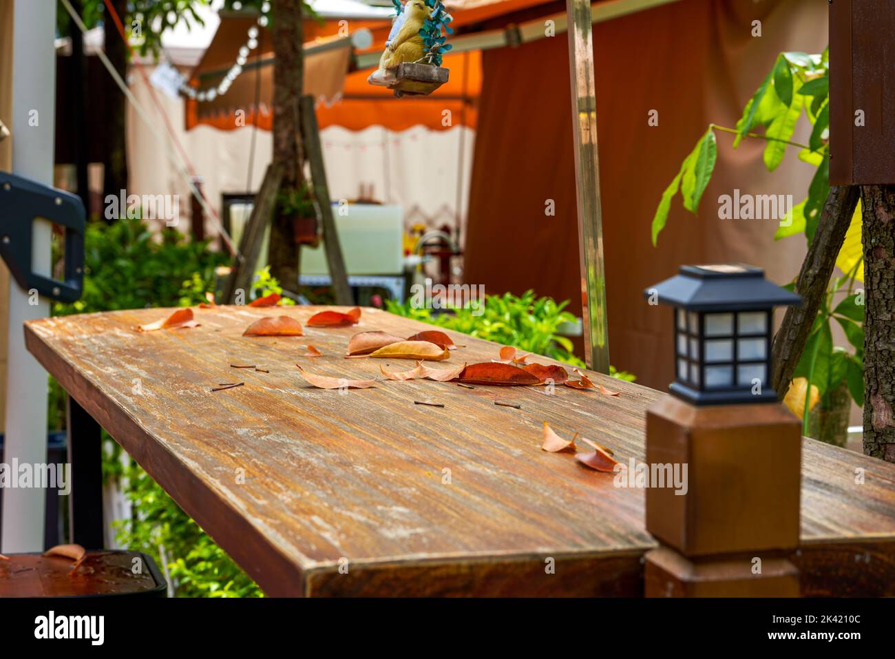 Fallen leaves in garden border hi-res stock photography and images - Alamy