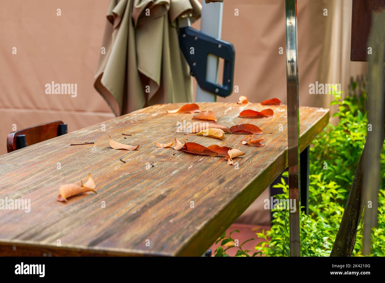 Fallen leaves in garden border hi-res stock photography and images - Alamy