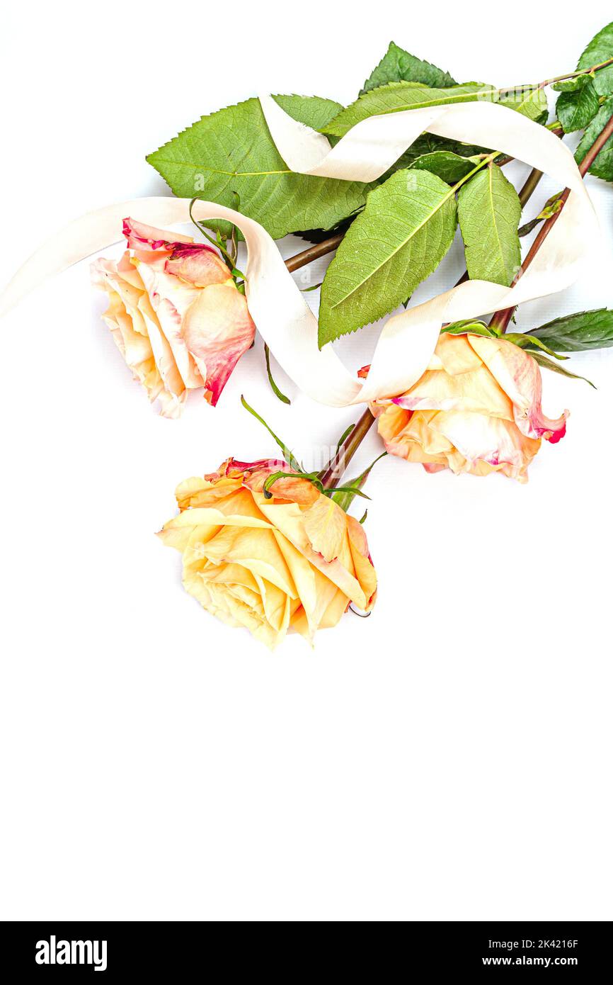 Flowers womans day gift Cut Out Stock Images & Pictures - Alamy