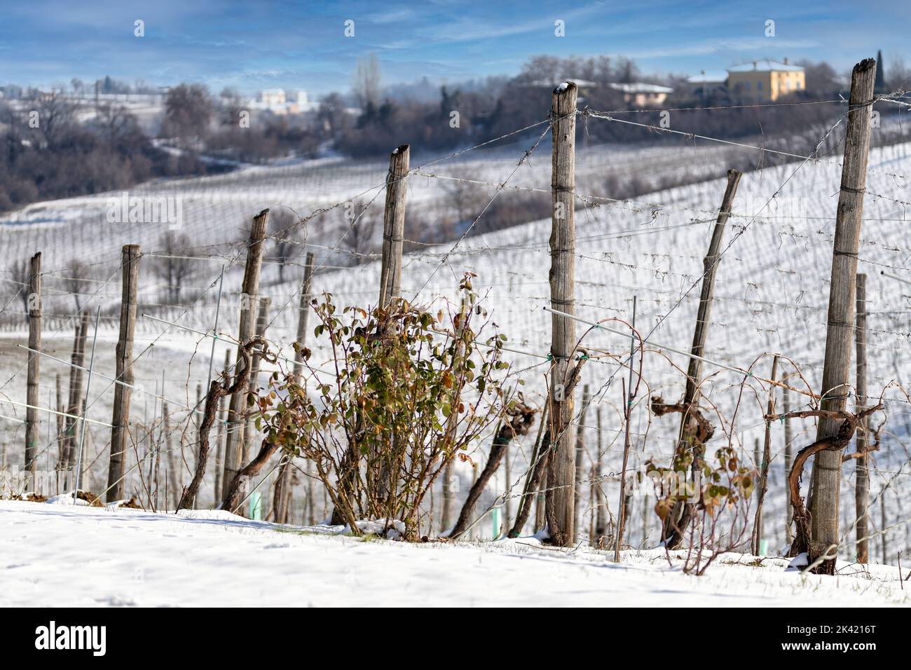 Winter on the hills of Modena, Emilia Romagna, Italy Stock Photo - Alamy