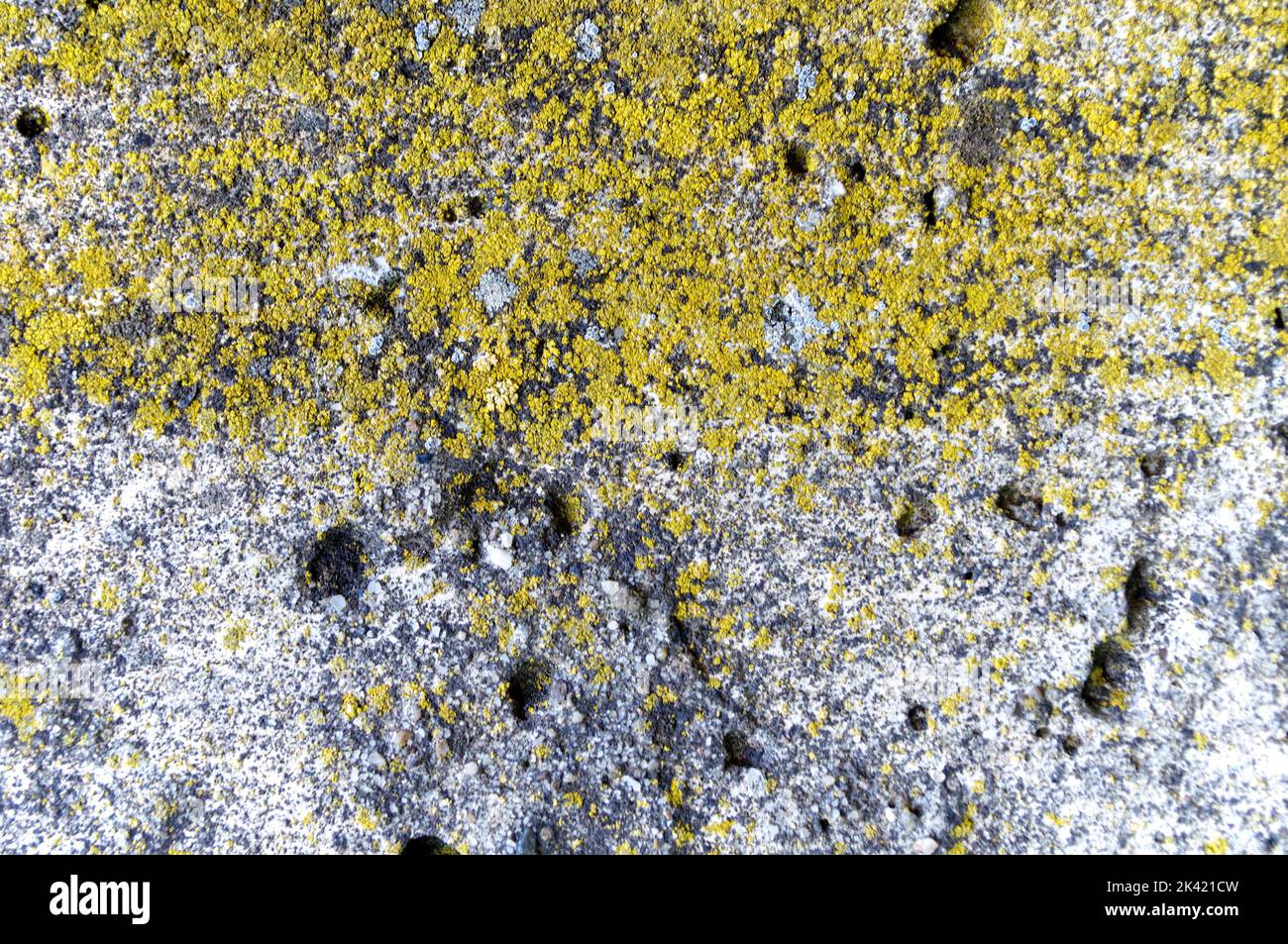 Background cement - Stock Image Stock Photo - Alamy