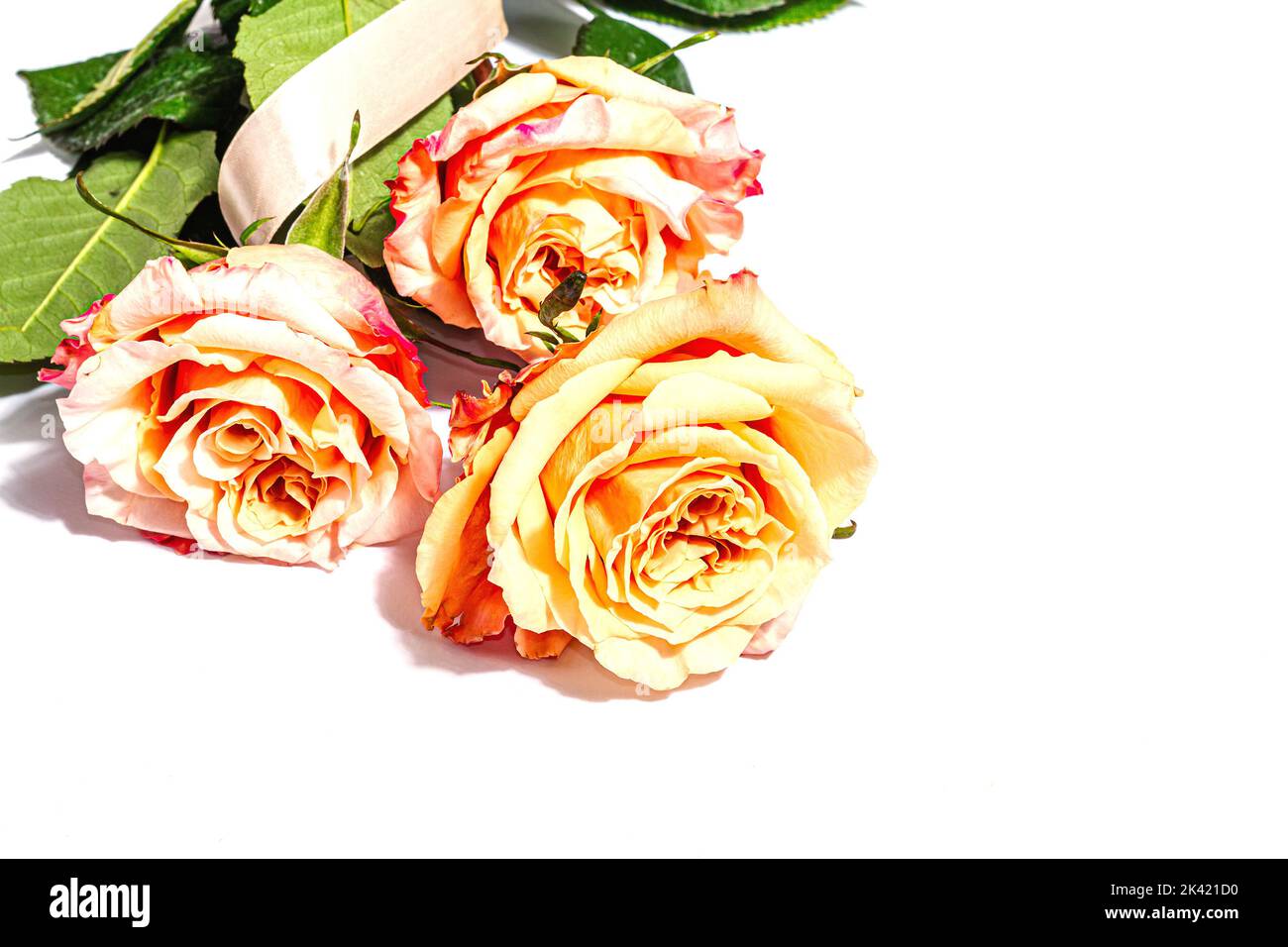 Bouquet of fresh delicate roses isolated on white background. Romantic ...