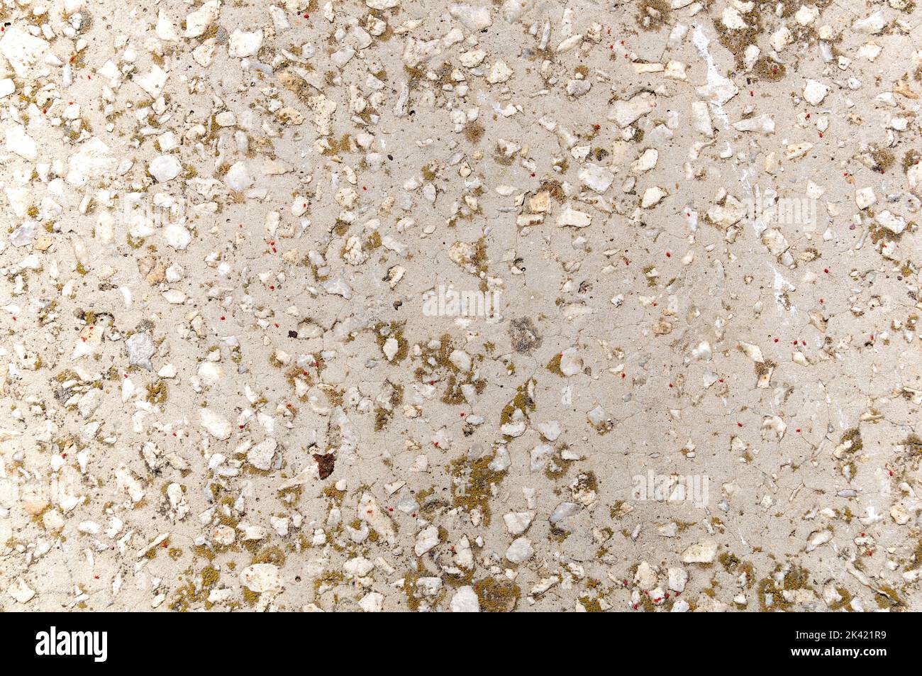 Background cement - Stock Image Stock Photo - Alamy