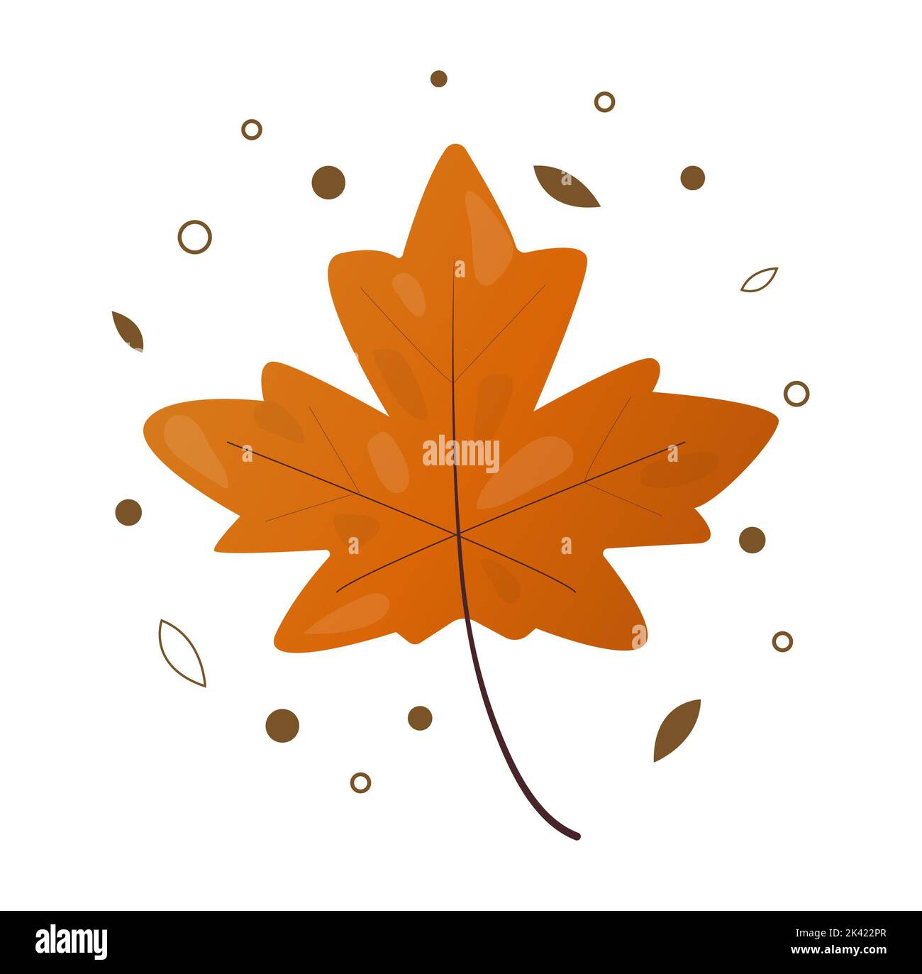 With its rich brown colors Cut Out Stock Images & Pictures - Alamy