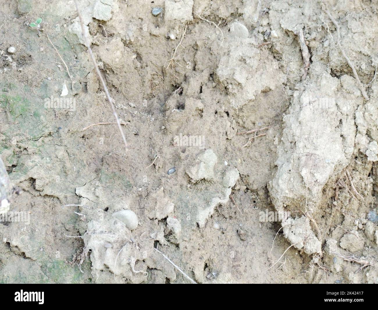 Dry ground - Stock Image Stock Photo - Alamy