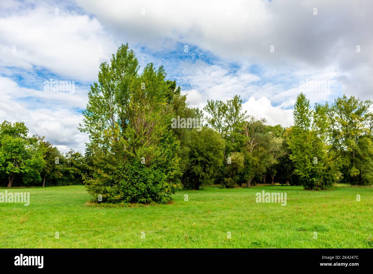Small walk through the park along the Saale in Jena - Thuringia ...