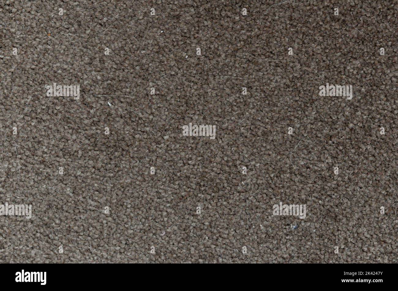 Material carpet texture background photo Stock Photo - Alamy