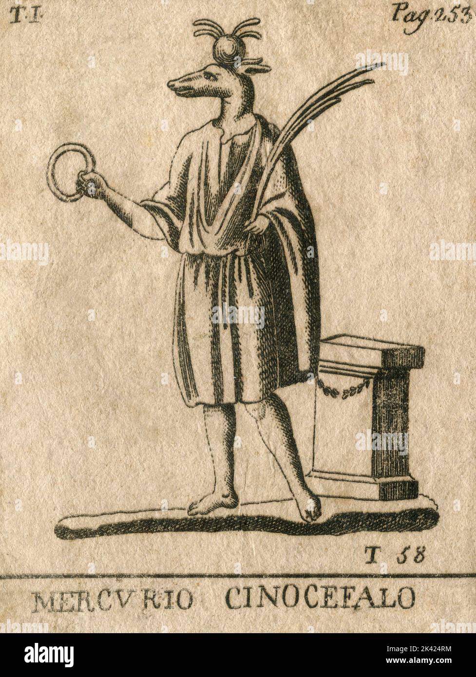 Illustration of Cynocephalus Mercury, 1800 ca Stock Photo - Alamy