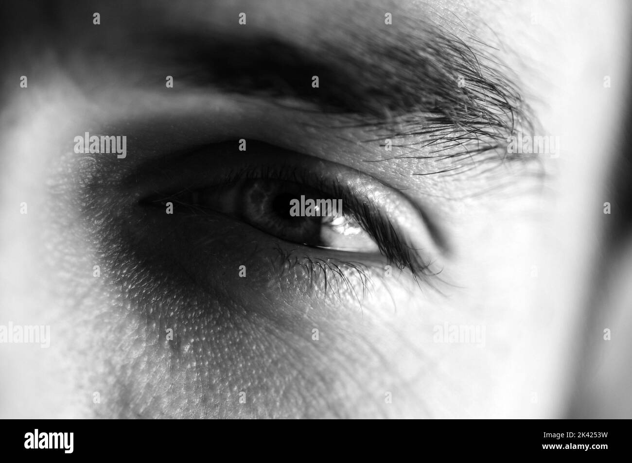 Close up image attractive Black and White Stock Photos & Images - Alamy