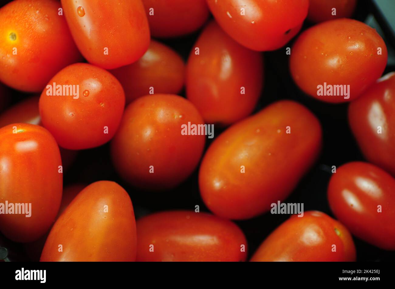 Baby tomatos hi-res stock photography and images - Alamy