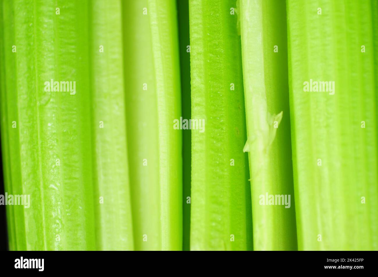 Green onion leaves stock photo Stock Photo - Alamy
