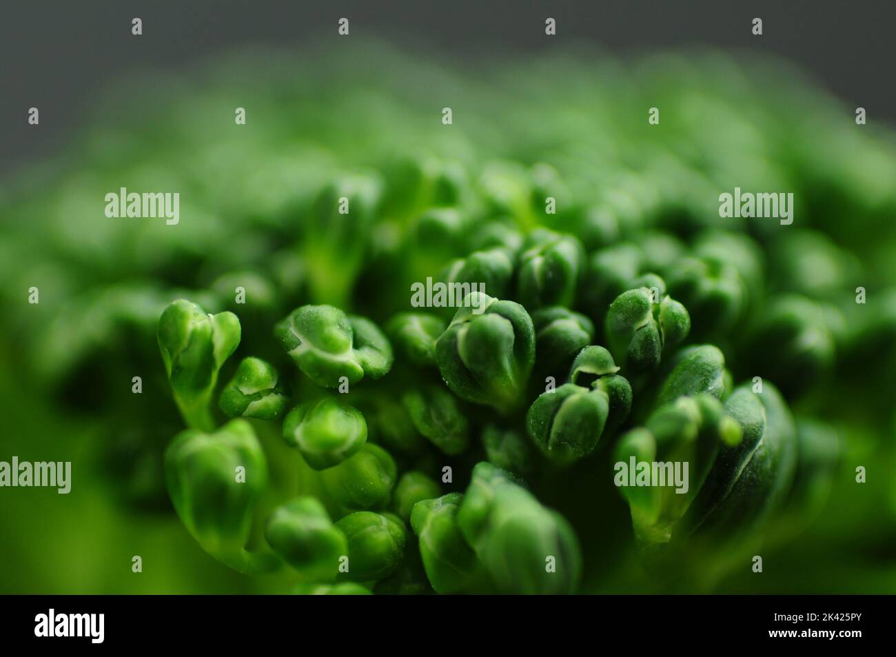 Broccoli close-up stock photo Stock Photo - Alamy