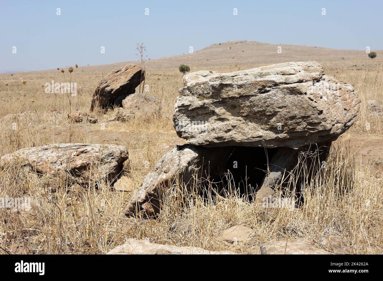 Gamla Nature Reserve in Israel - the ancient city and the tallest ...