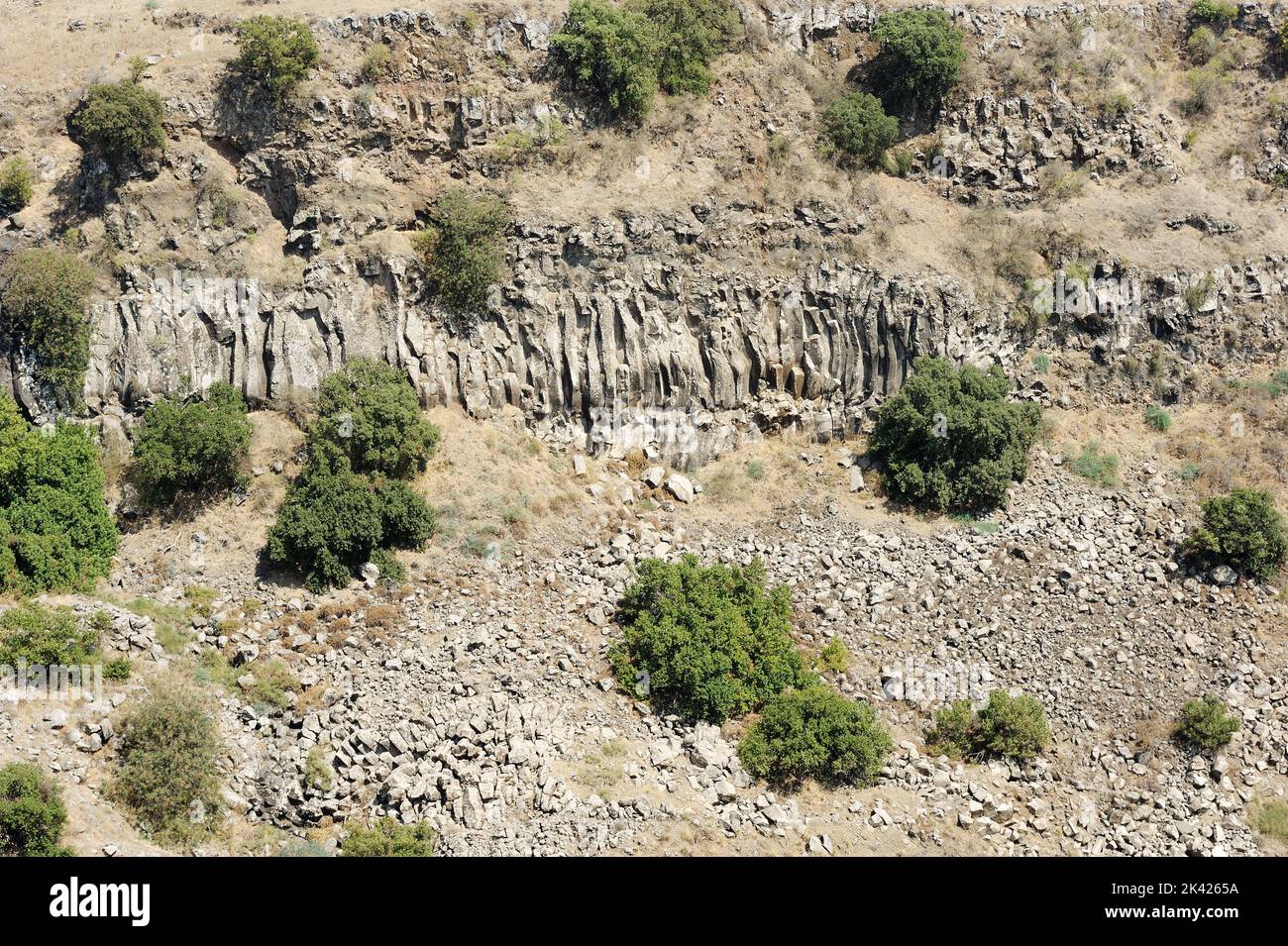 Gamla Nature Reserve in Israel - the ancient city and the tallest ...