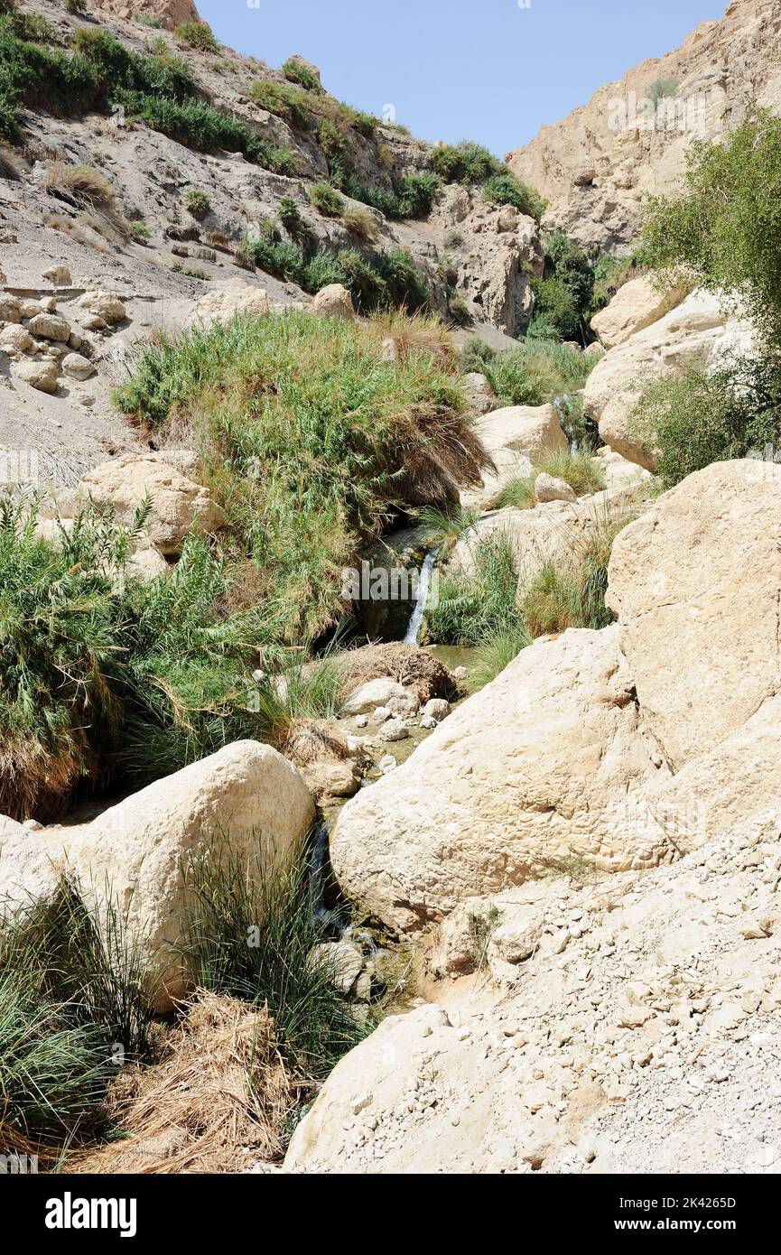 Streams and waterfalls Nature Reserve Ein Gedi at the Dead Sea in ...