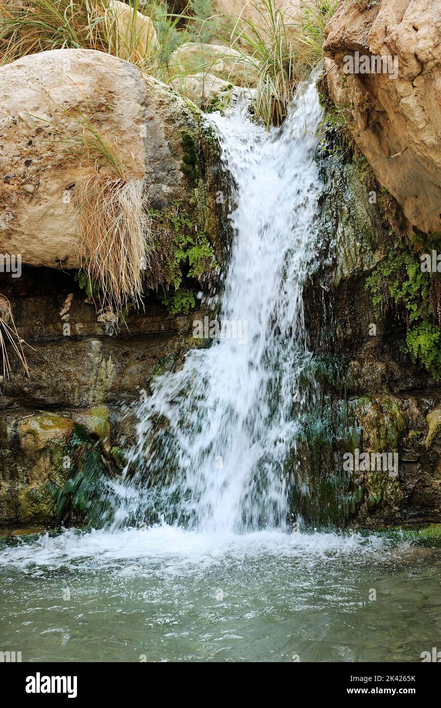 Streams and waterfalls Nature Reserve Ein Gedi at the Dead Sea in ...