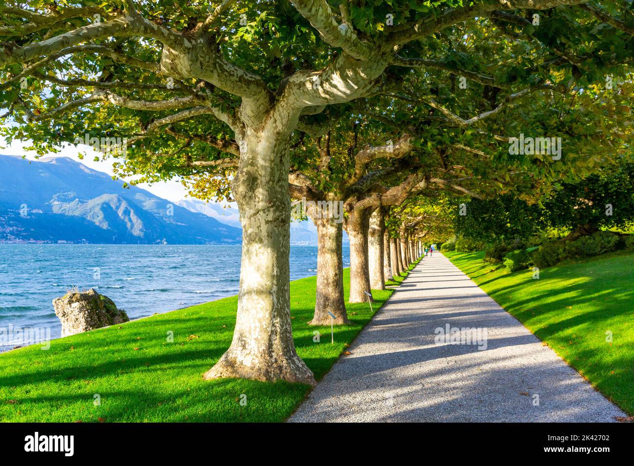 Villa Melzi gardens in the beautiful evening light Stock Photo - Alamy