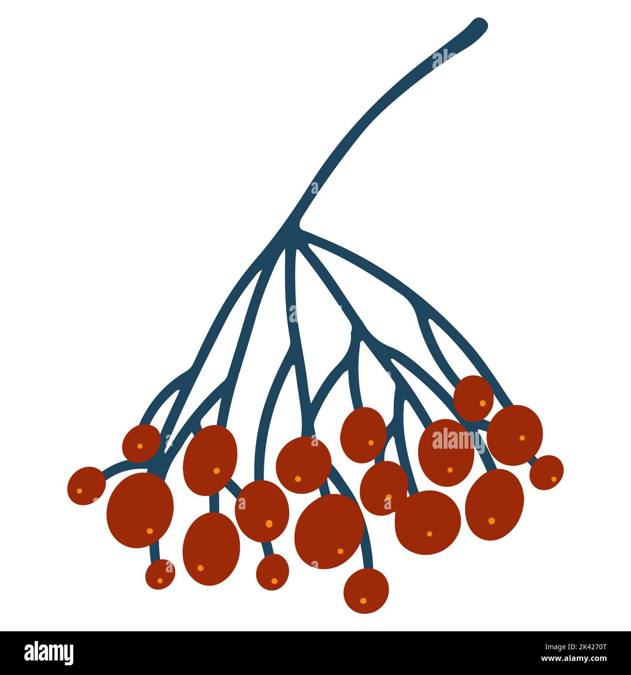 Hand drawn rowan in cartoon flat childish style. Vector illustration of ...