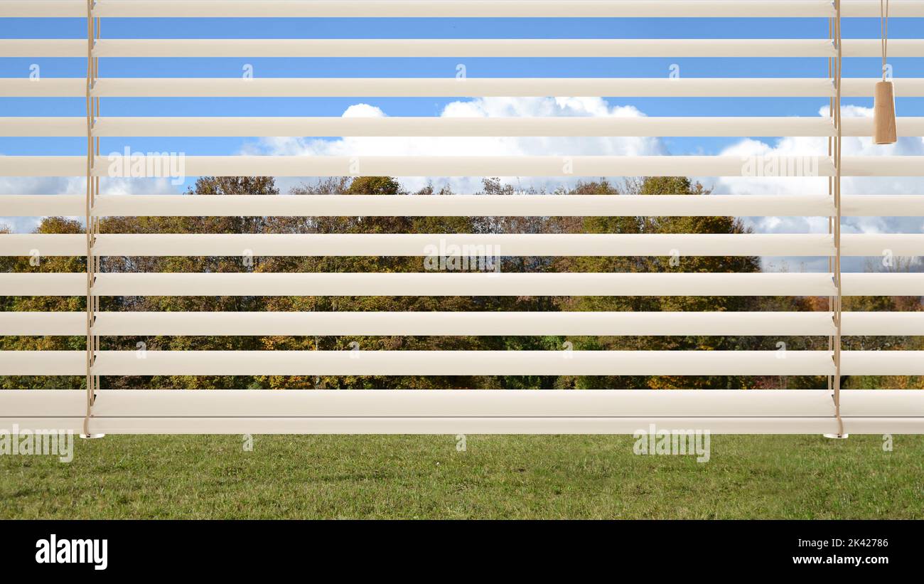 White venetian blinds close up view, over green meadow with grass and ...