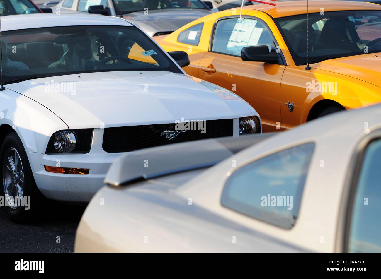 New cars stock photo Stock Photo - Alamy