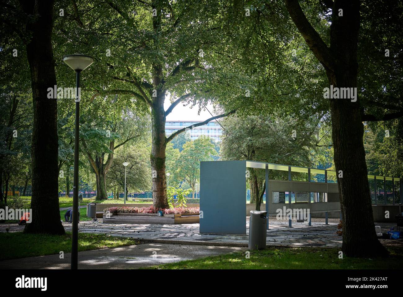 2022-09-29 13:26:49 AMSTERDAM - The Tree That Everything Saw in the ...