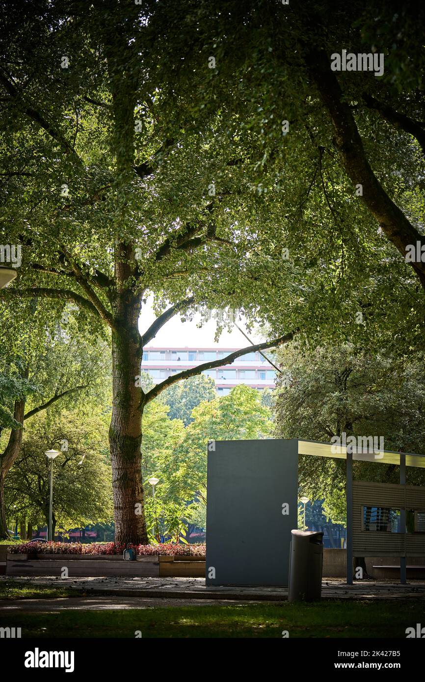 2022-09-29 13:29:31 AMSTERDAM - The Tree That Everything Saw in the ...