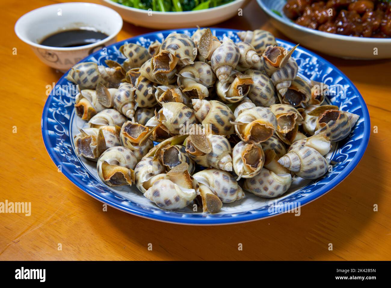 Navel snail hi-res stock photography and images - Alamy