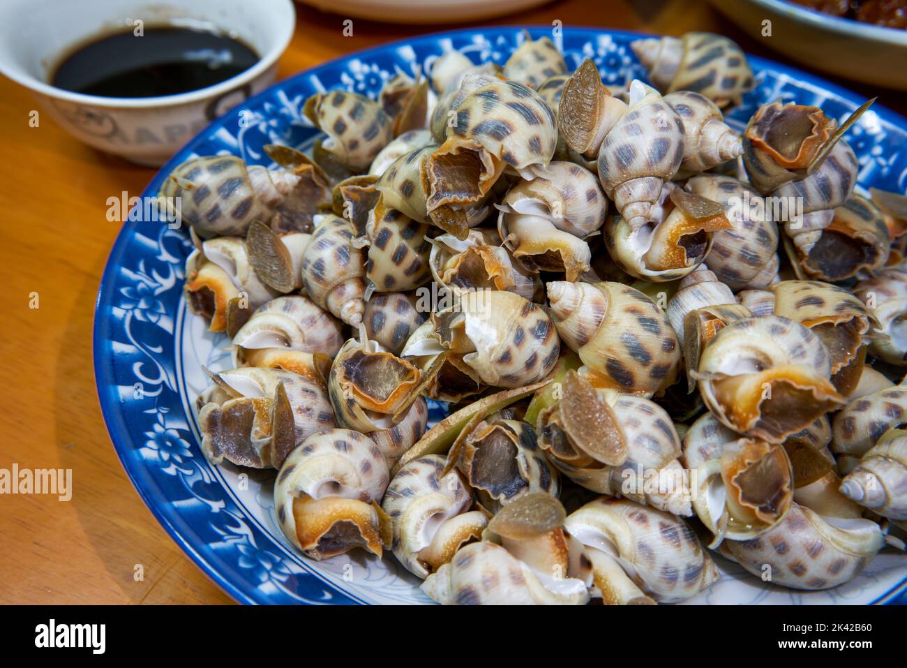 Navel snail hi-res stock photography and images - Alamy