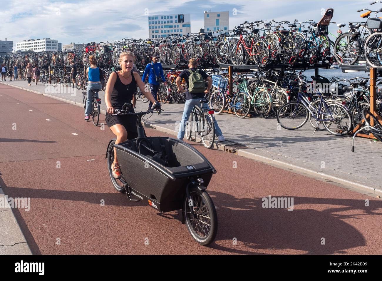 Cyclists in Cycle Lane - Amsterdam, The Netherlands Stock Photo - Alamy