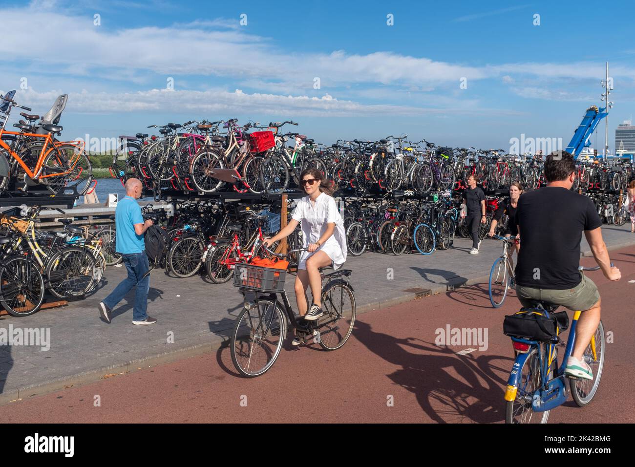 Cyclists in Cycle Lane - Amsterdam, The Netherlands Stock Photo - Alamy