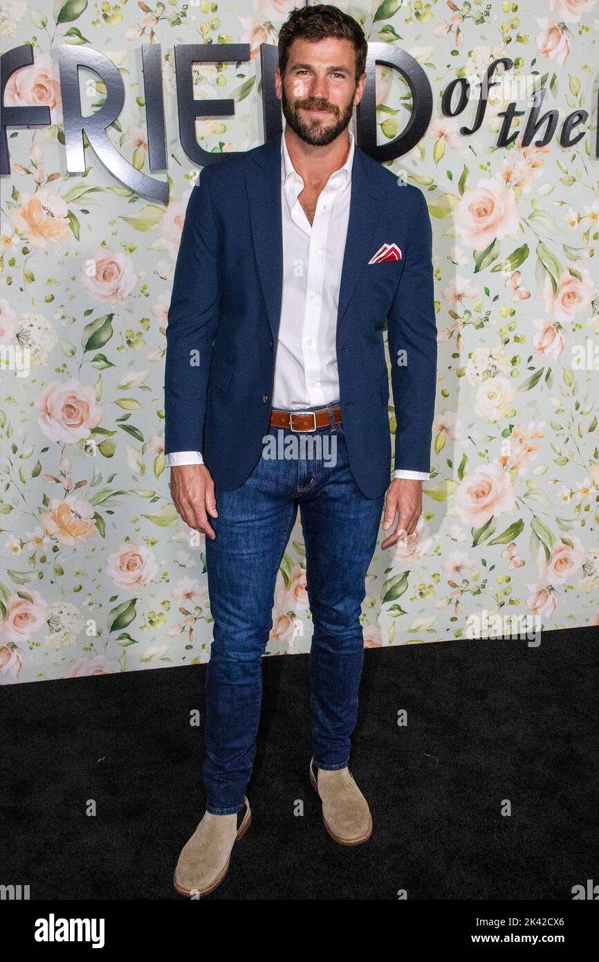 Austin stowel hi-res stock photography and images - Alamy