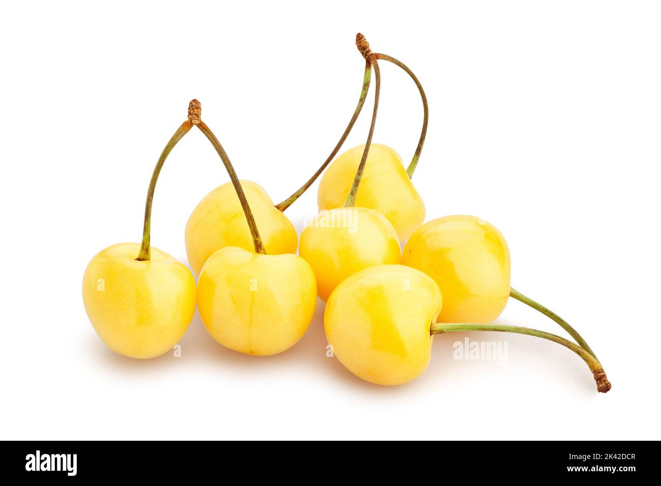 yellow cherry path isolated on white Stock Photo - Alamy