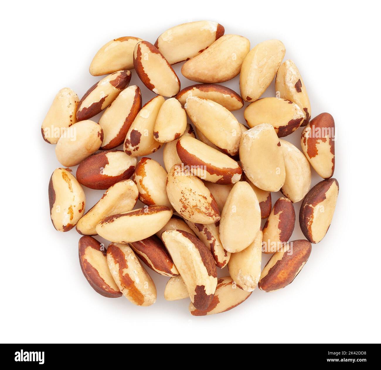 brazil nuts path isolated on white top view Stock Photo - Alamy