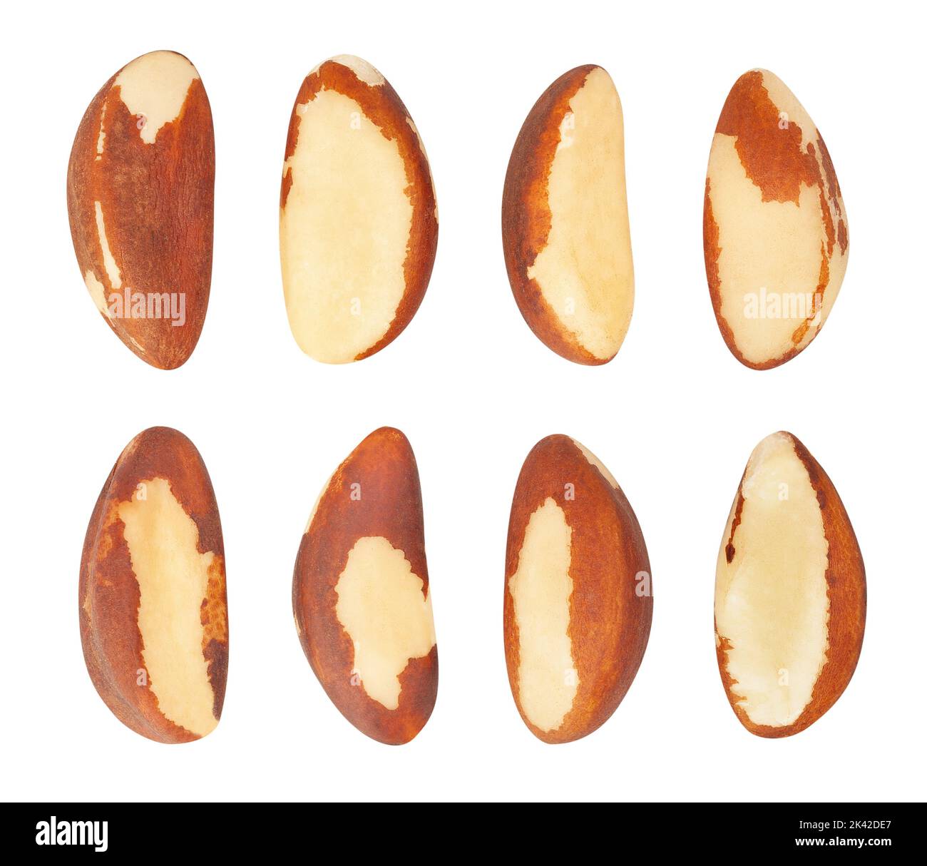 brazil nuts path isolated on white Stock Photo - Alamy