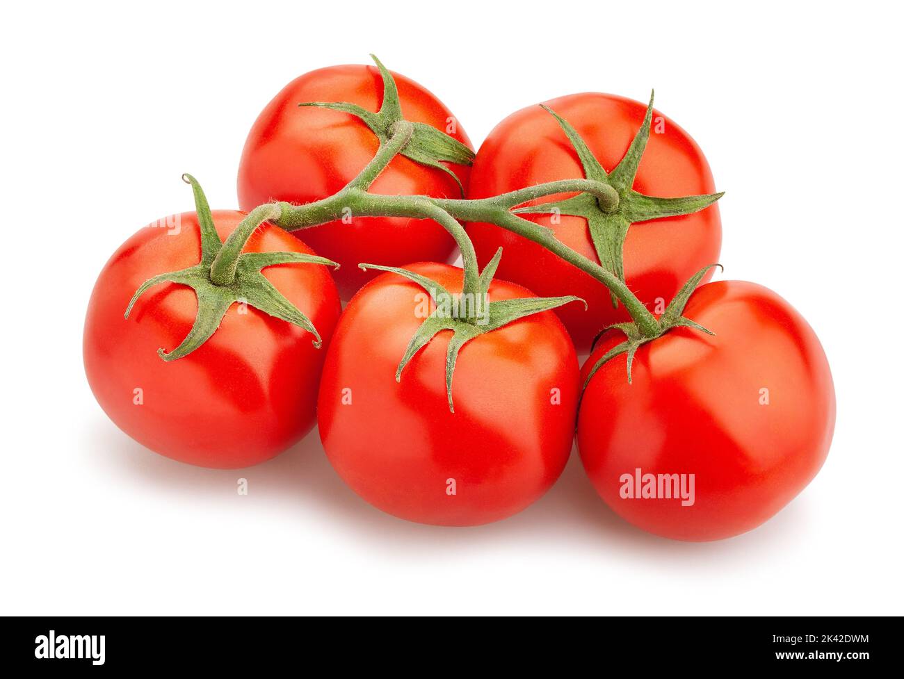 tomato branch path isolated on white Stock Photo - Alamy