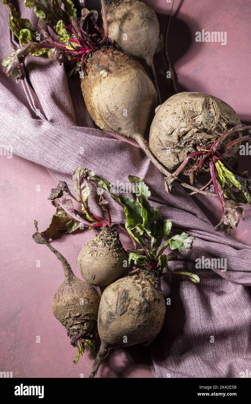 Beetroot picked hi-res stock photography and images - Alamy