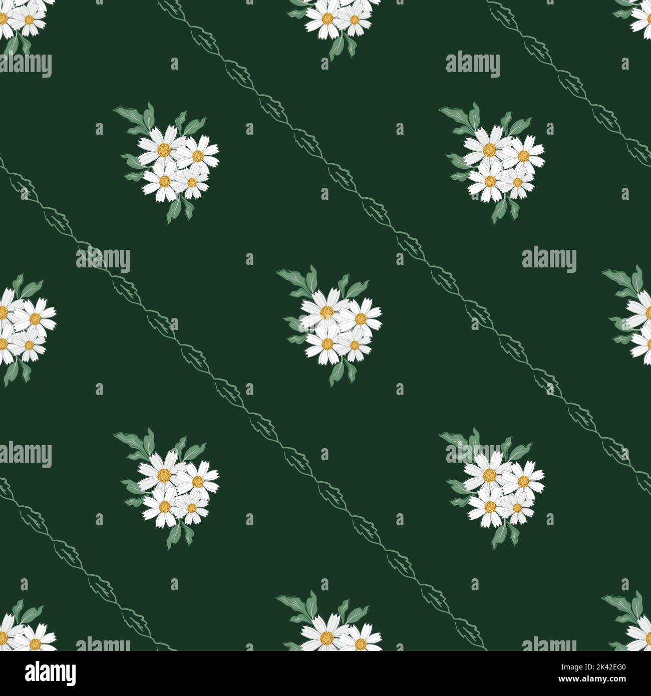 Chamaemelum nobile Stock Vector Images - Alamy