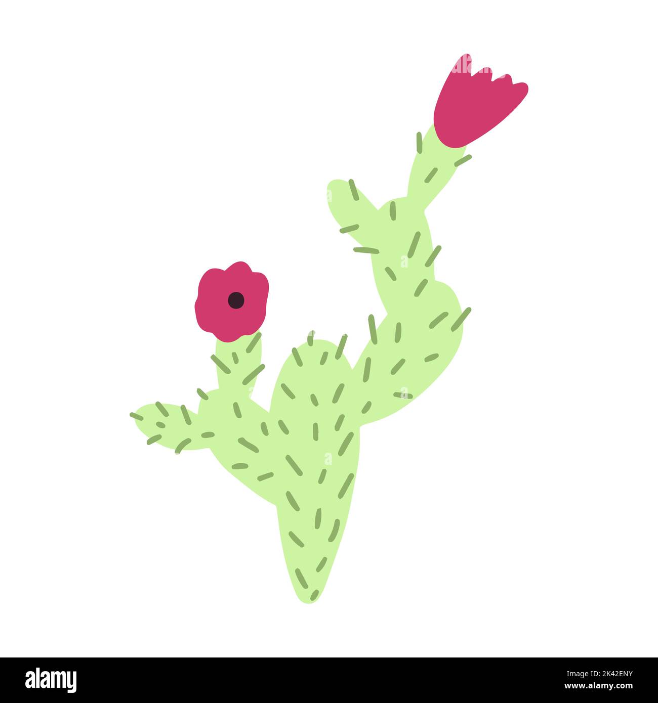 Vector illustration of cactus in cartoon hand drawn naive scandinavian ...