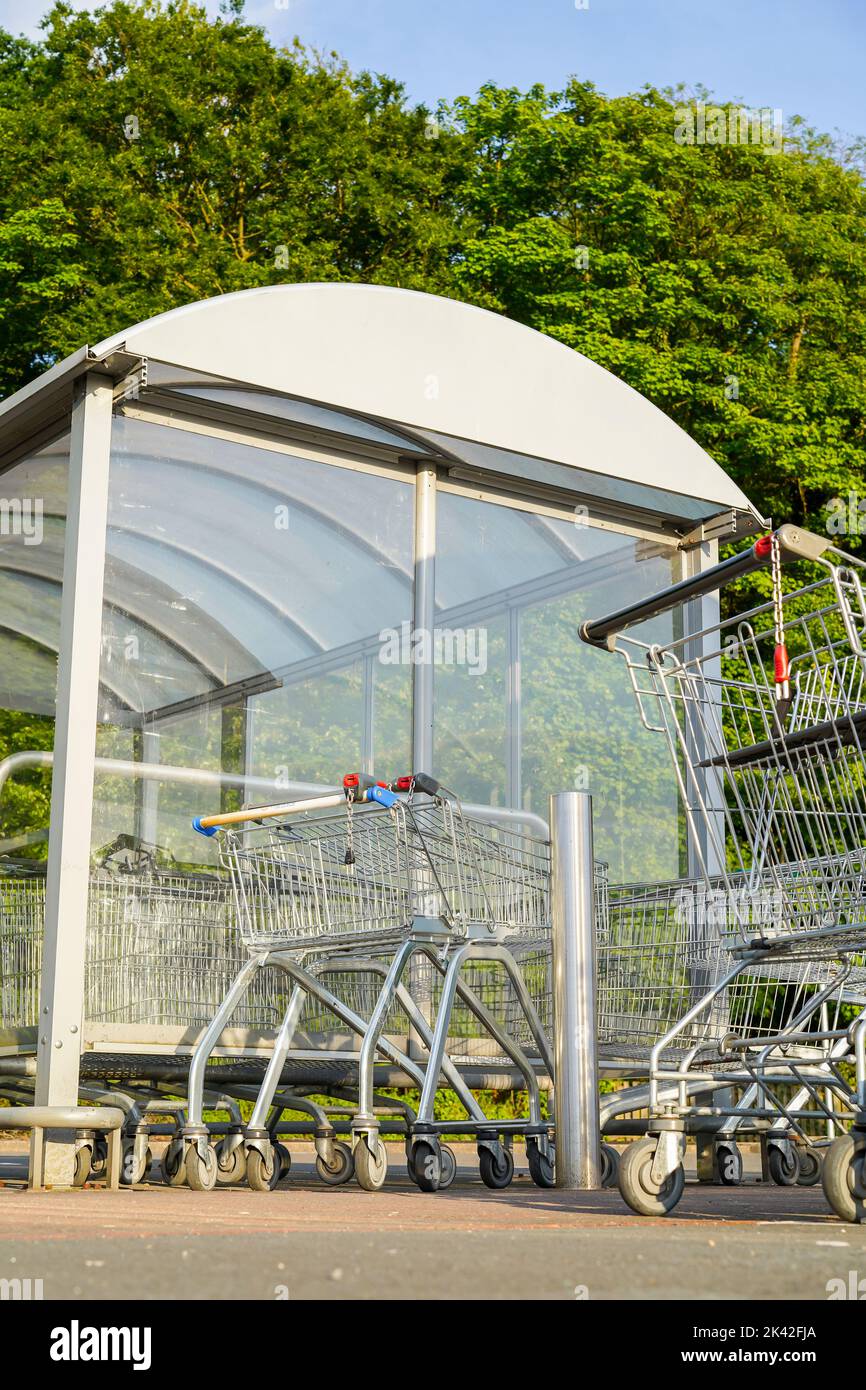 Shopping trolleys linked together in the trolley bay of a UK ...