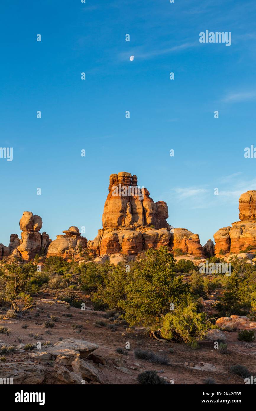 Moon over striped Cedar Mesa sandstone formations in the Doll House ...