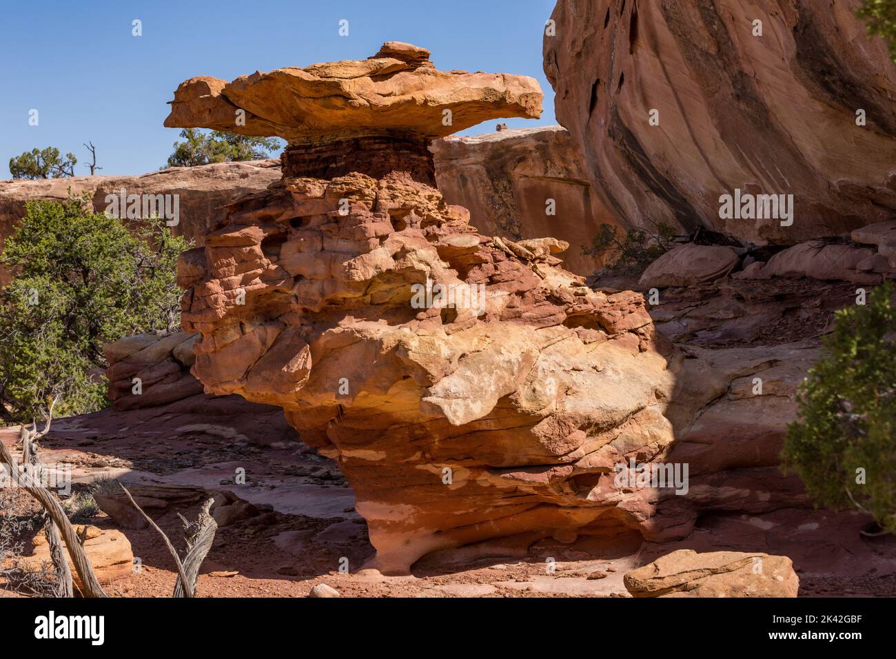 Bizarrely eroded Cedar Mesa sandstone rock formation in the Maze ...
