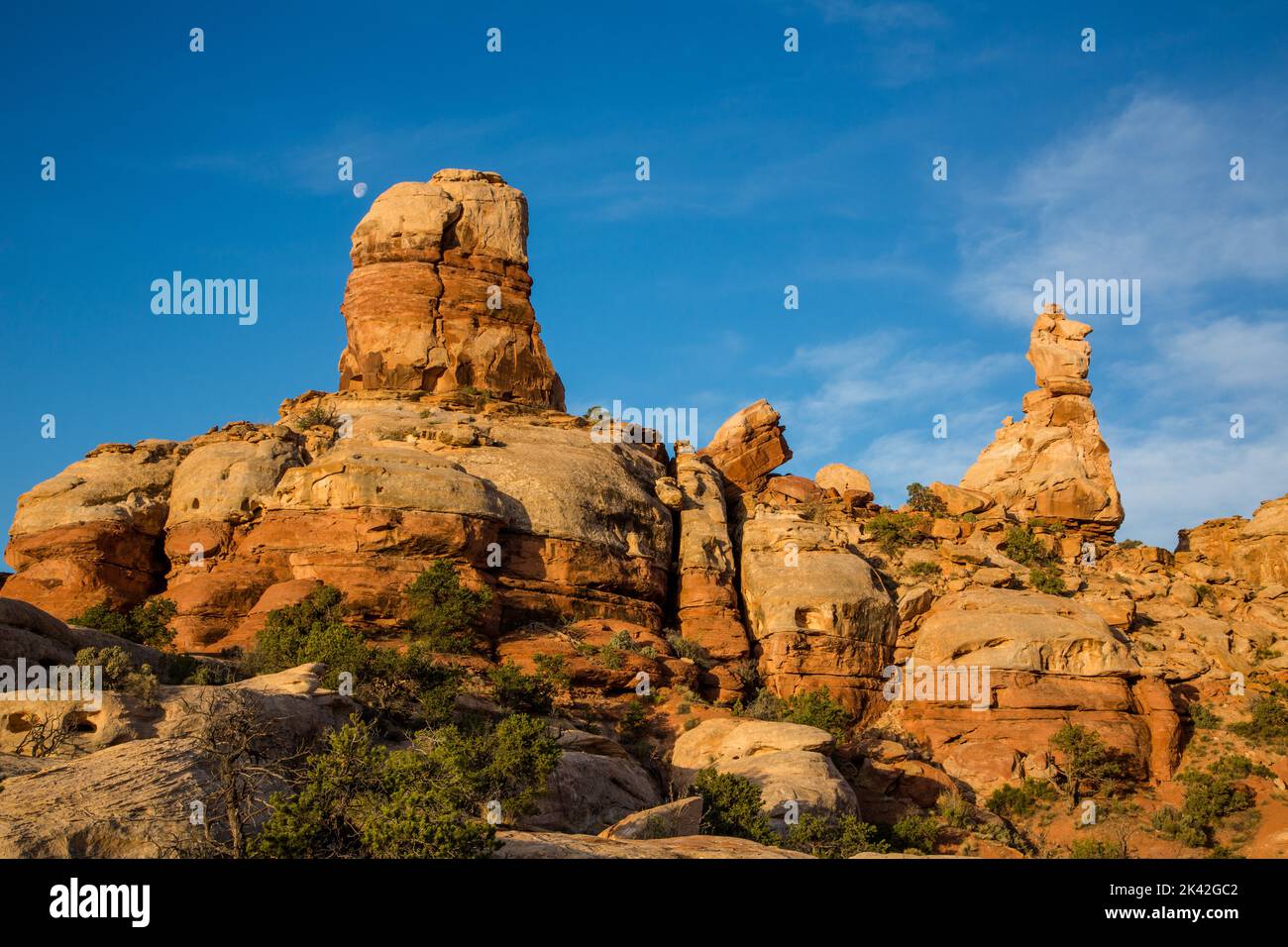 Moon over striped Cedar Mesa sandstone formations in the Doll House ...