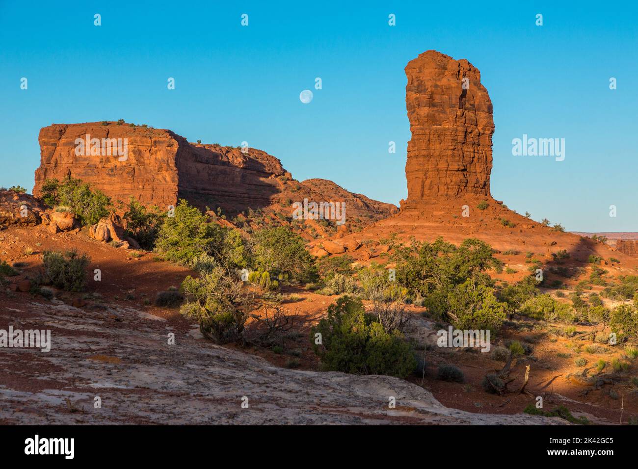 Moon over the Plug, an Organ Rock Shale tower in the Land of Standing ...