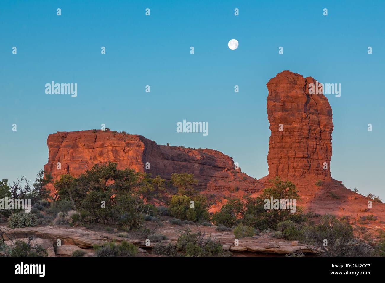Moon over the Plug, an Organ Rock Shale tower in the Land of Standing ...