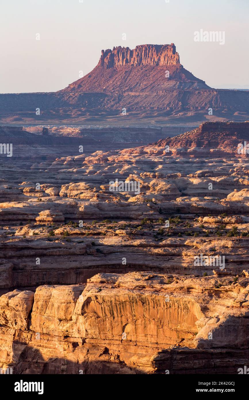 Winding canyons in the Cedar Mesa sandstone in the Maze District of ...
