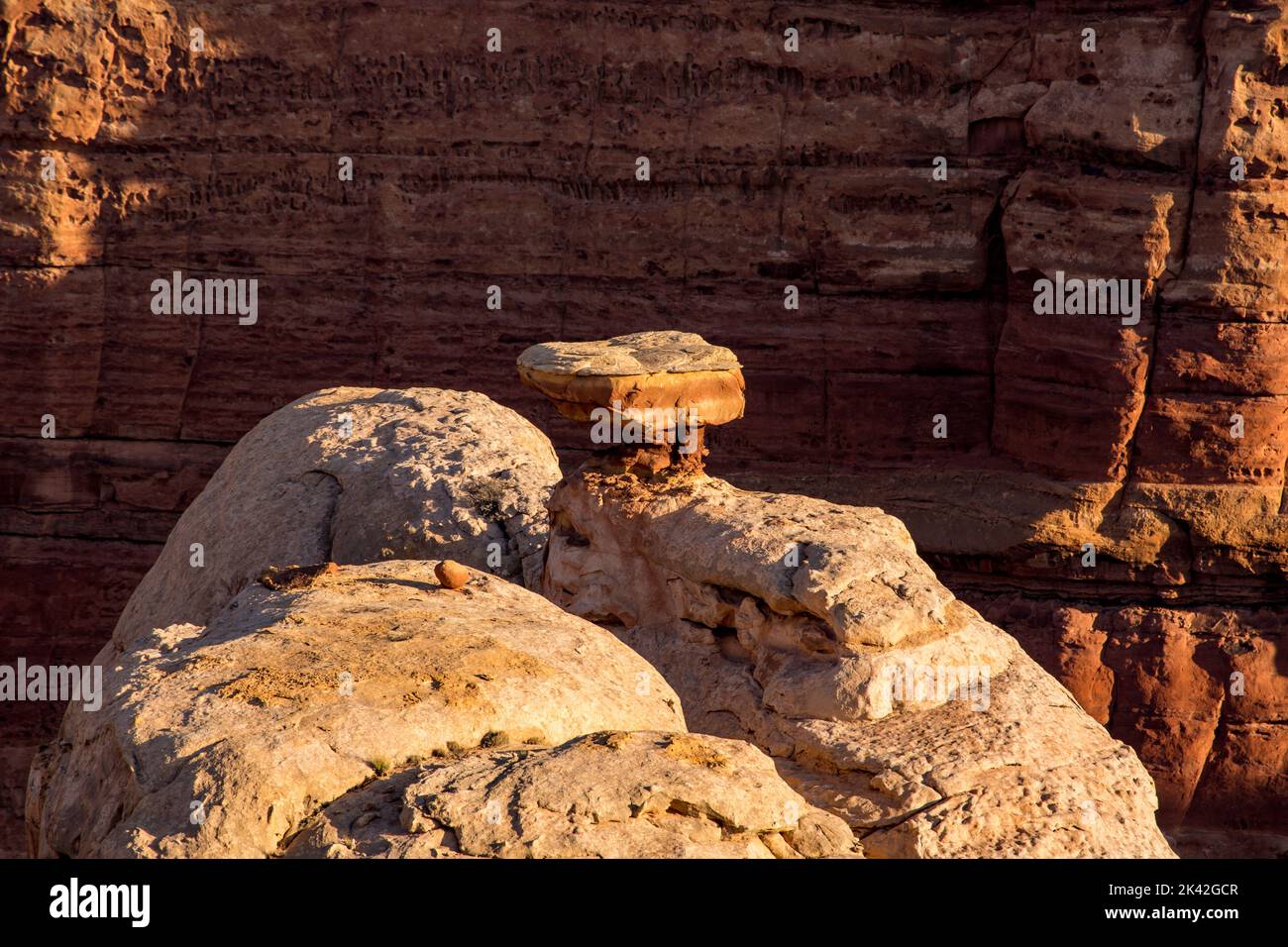A Cedar Mesa sandstone hoodoo in the Land of Standing Rocks in the Maze ...