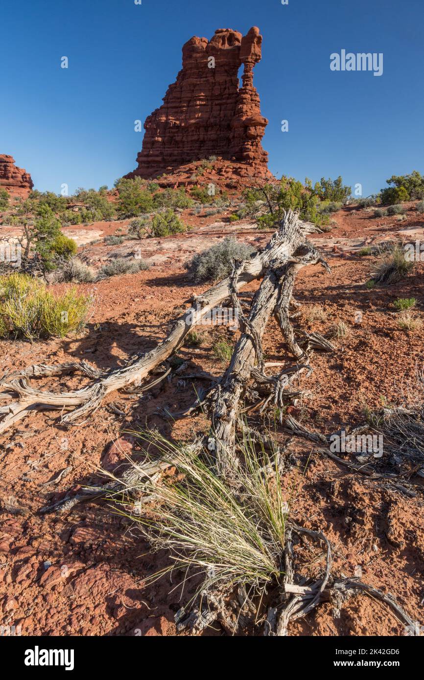 Dead wood & Thor's Hammer, a delicate Organ Rock Shale hoodoo in the ...